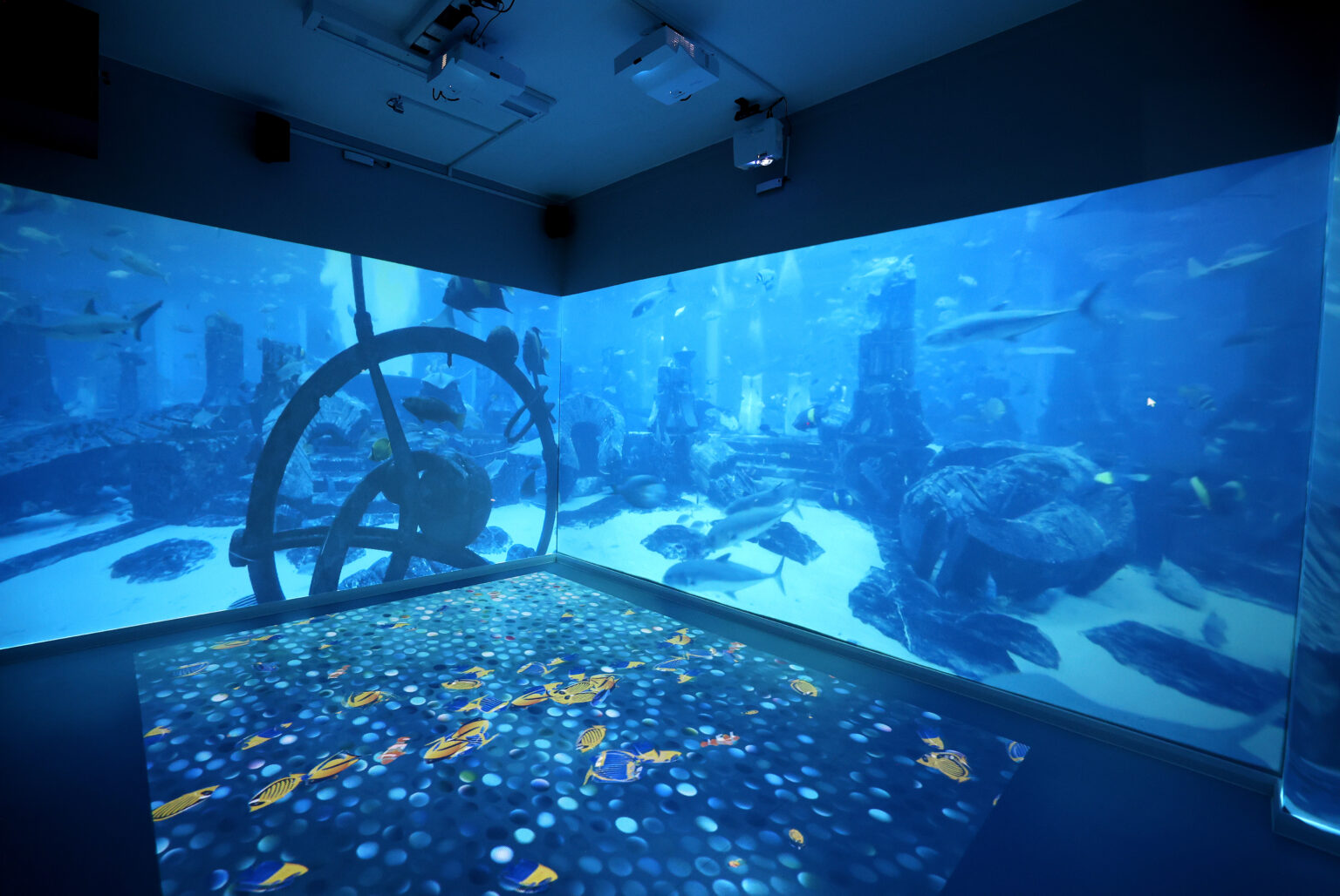 Alder Hey opens new children’s inpatient mental health building to tackle growing mental health ...