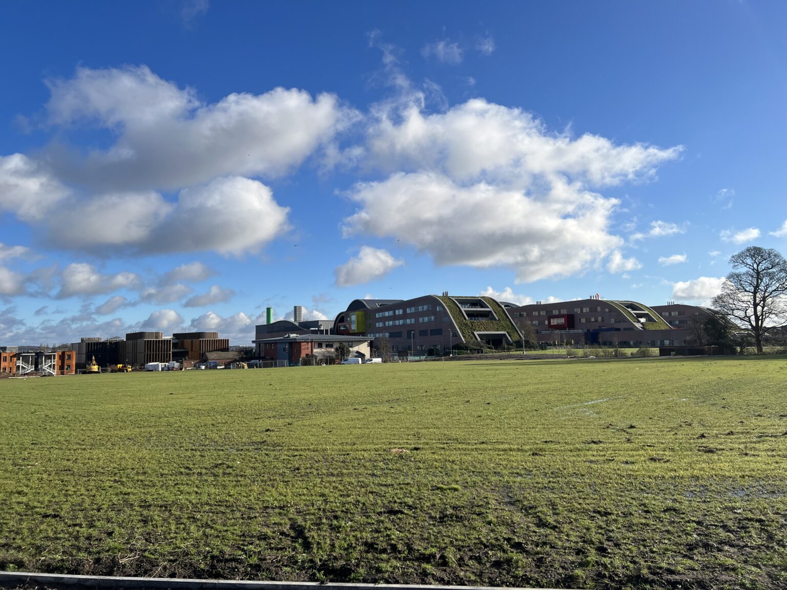 Springfield Park - Alder Hey Children's Hospital Trust