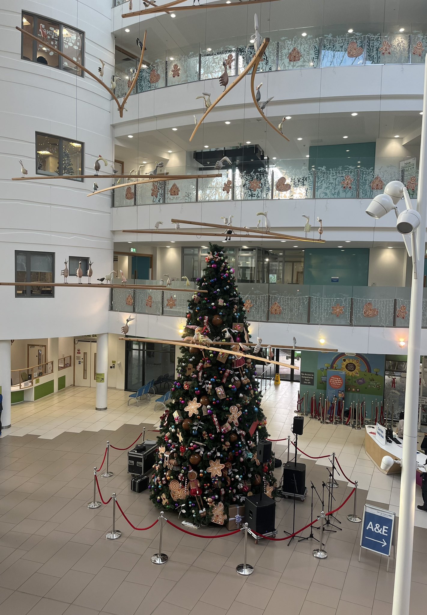 Increased noise levels in Alder Hey - Alder Hey Children's Hospital Trust